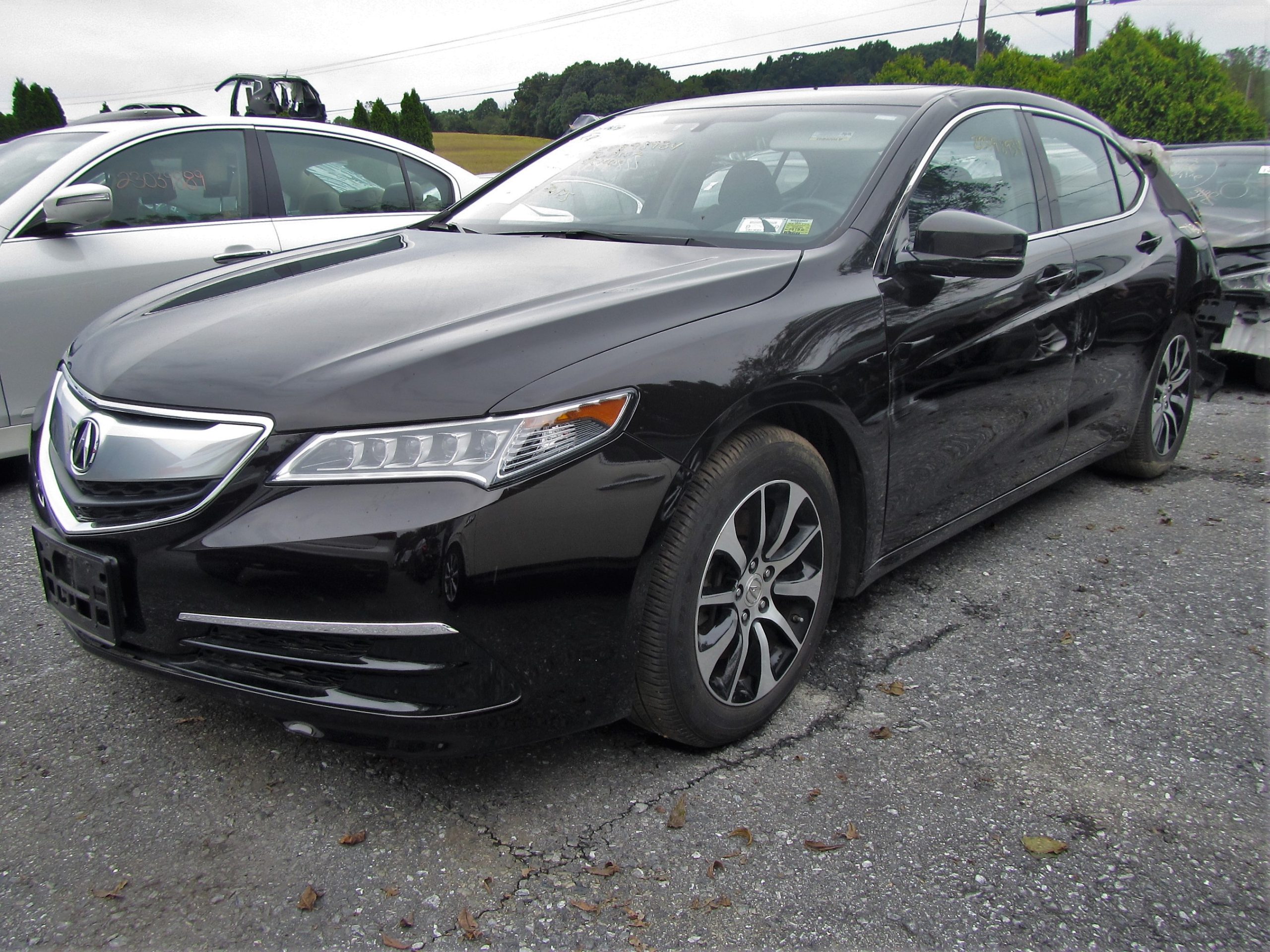 2016 ACURA TLX - Weber Brothers Auto